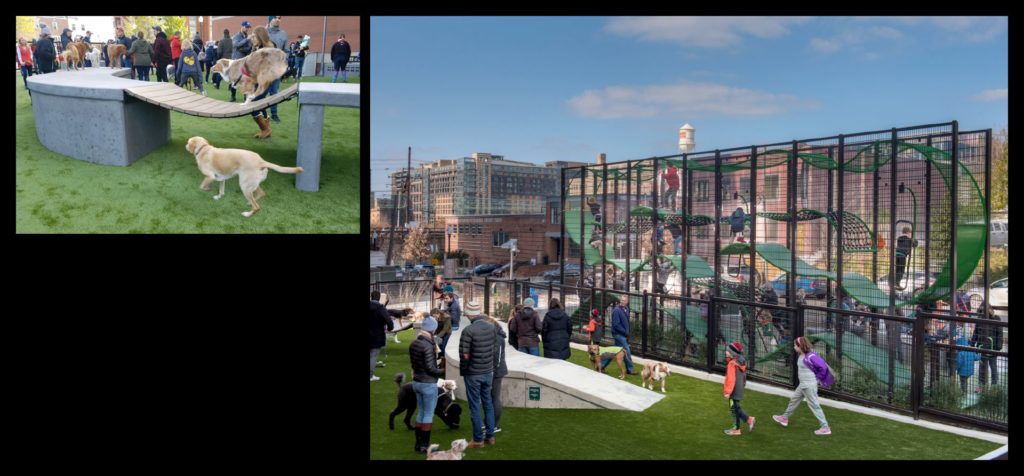 swampoodle – Potomac ASLA